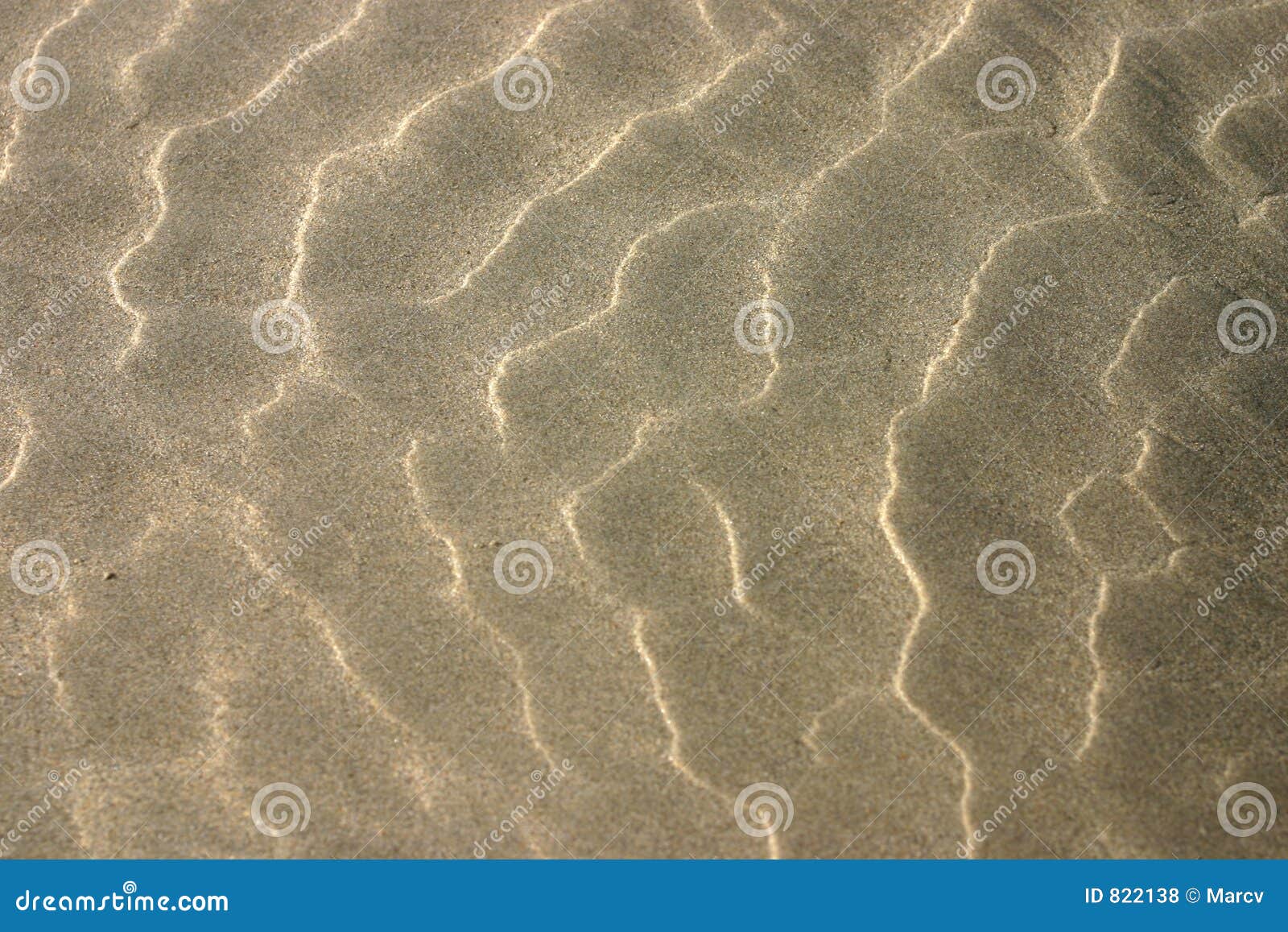Beach reflections stock photo. Image of reflection, sand - 822138