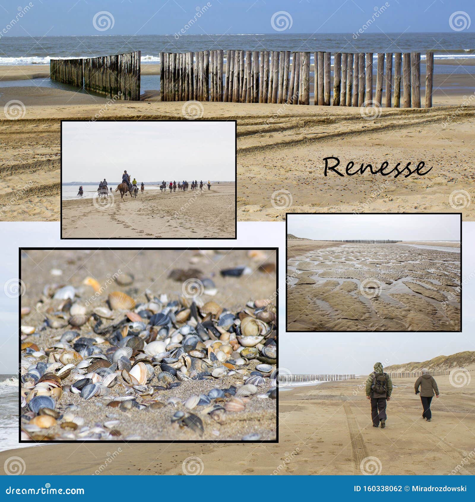 Beach in Renesse, the Netherlands Editorial Photography - Image of ...