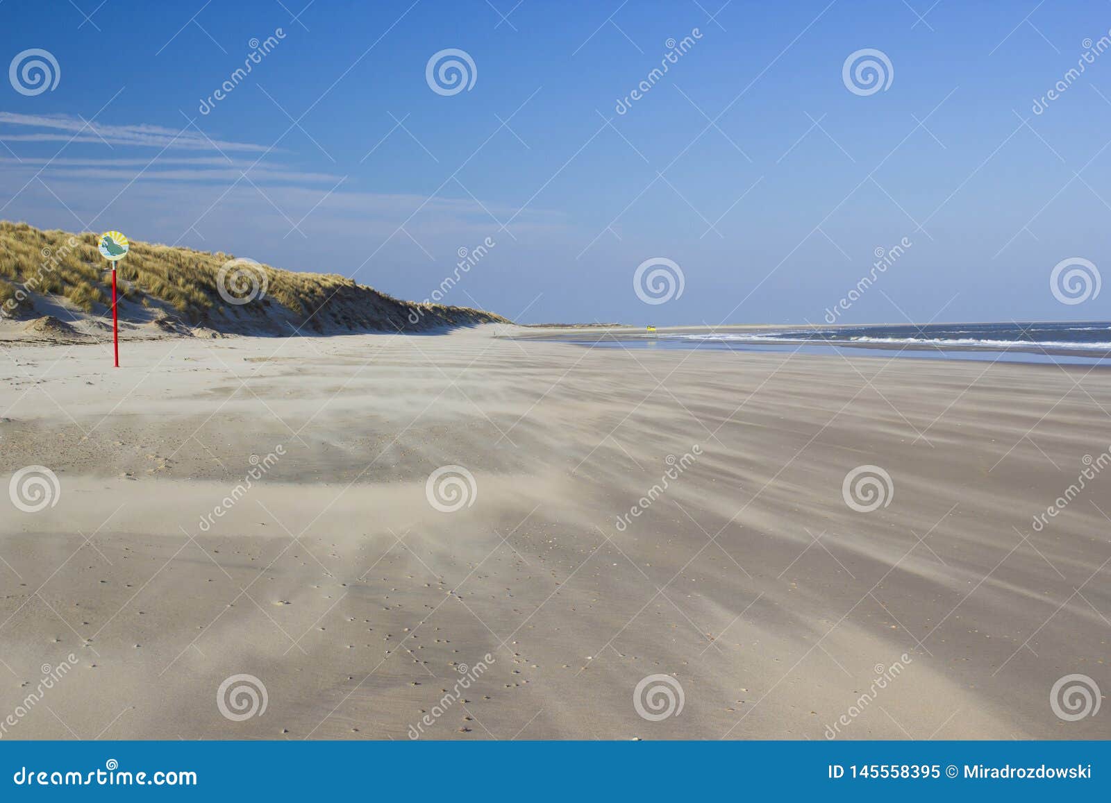 Beach in Renesse, Netherlands Editorial Image - Image of relax, remote ...