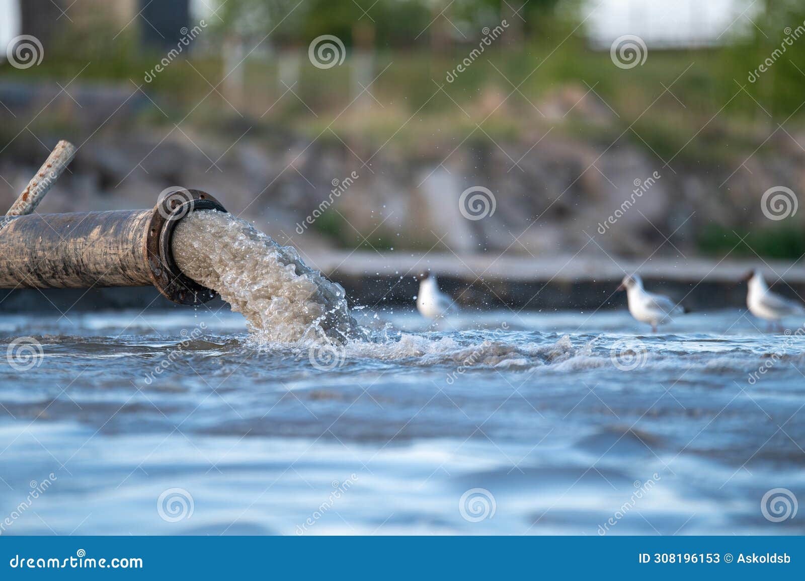 Beach Restoration Using a Sand Transfer System Stock Image - Image of ...