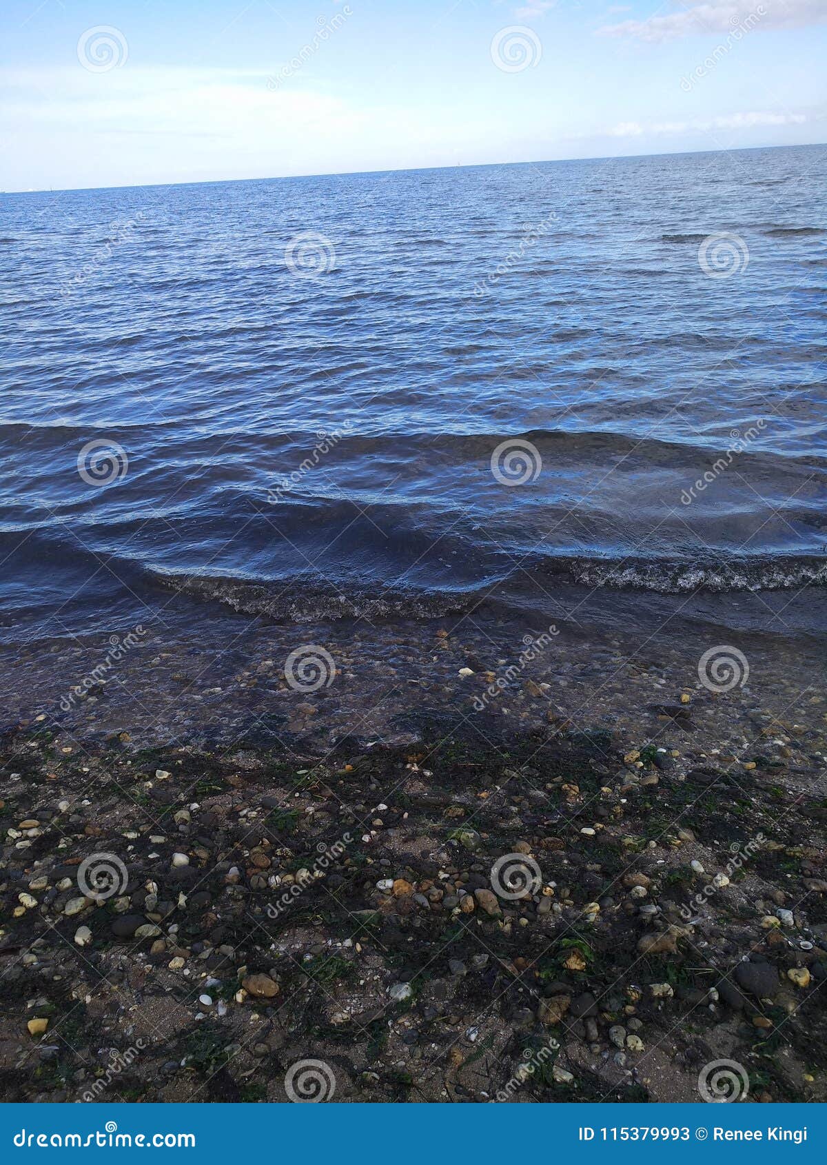 Foreshore stock image. Image of beach, ripples, ocean - 115379993
