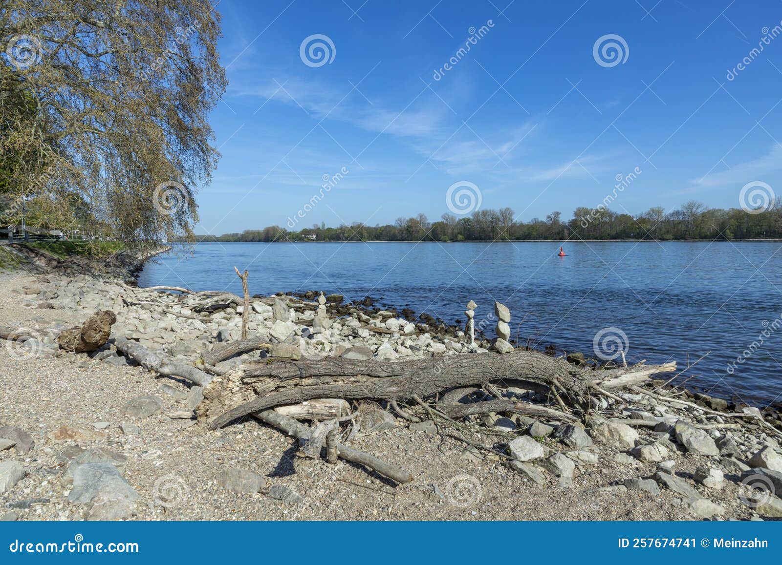 Beach of River Rhine with Flotsam in Eltville Stock Image - Image of ...