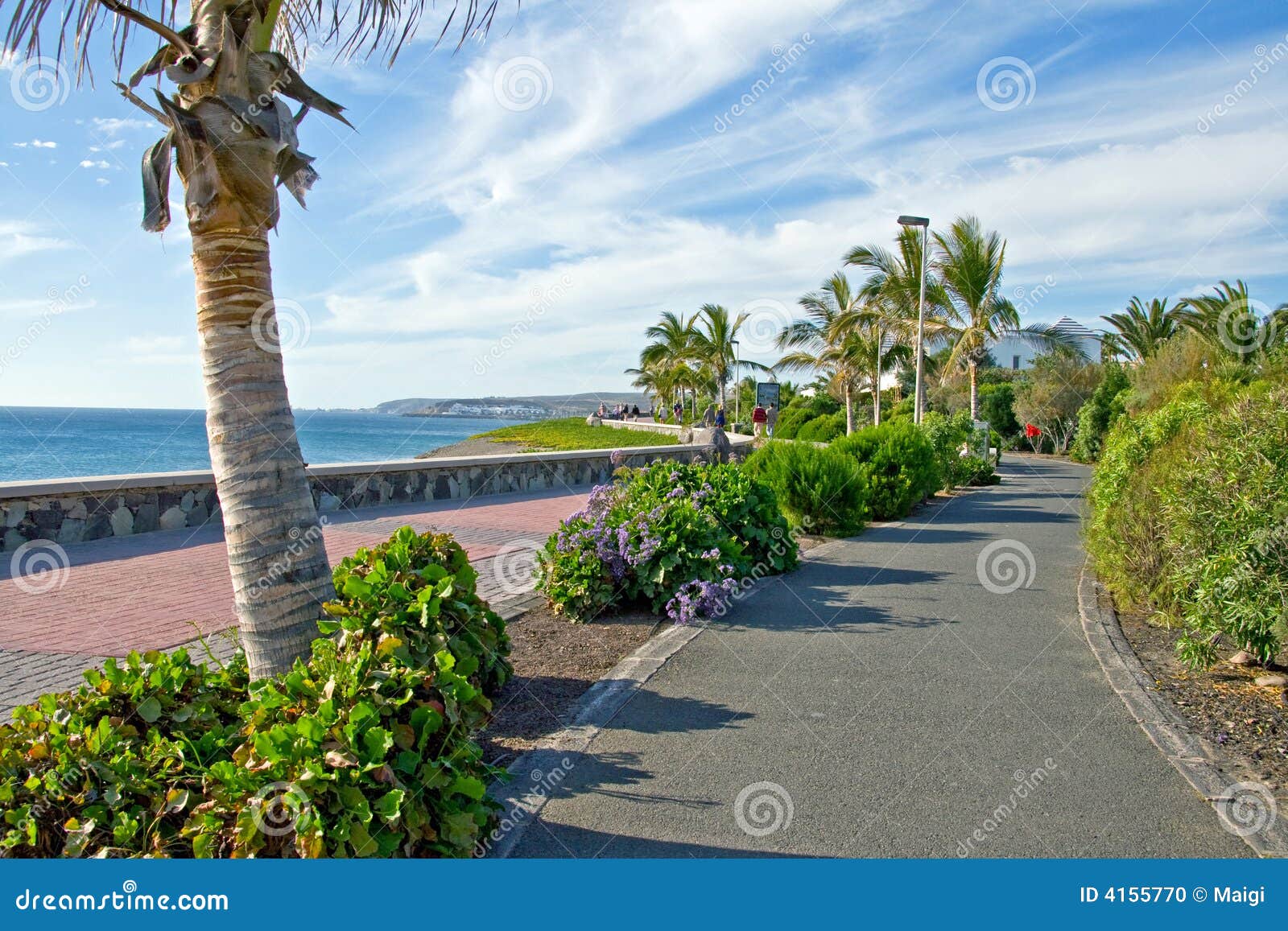 Beach road along ocean stock photo. Image of travel, gran - 4155770