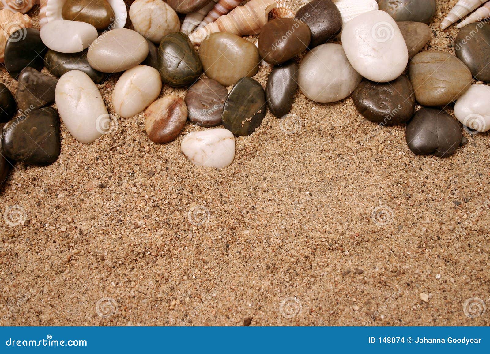 Beach Rocks And Driftwood Stock Image | CartoonDealer.com #220929307