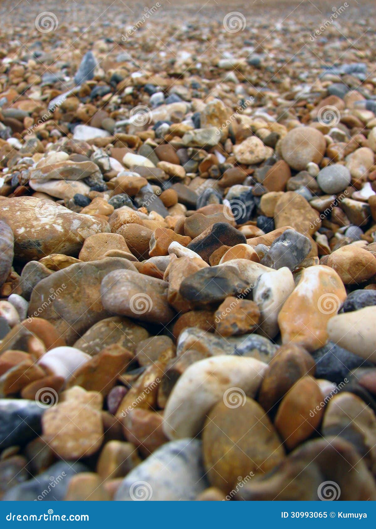 Beach rocks stock image. Image of brighton, material - 30993065