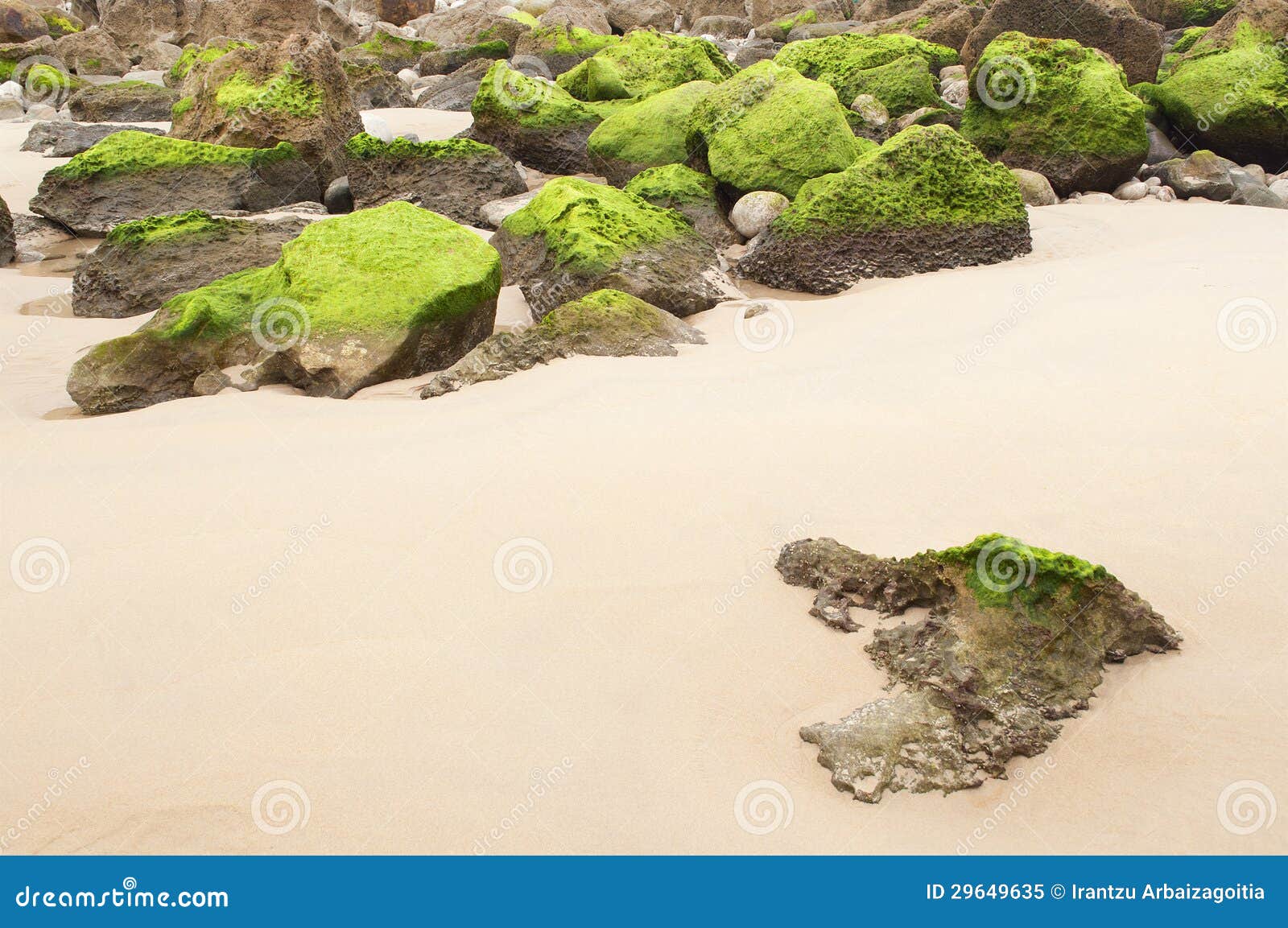 Beach with Rocks Covered with Green Algae Stock Image - Image of lichen ...