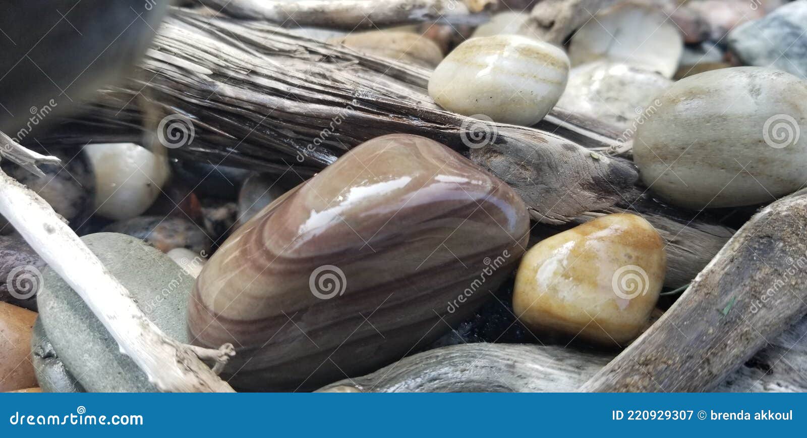 Beach rocks and driftwood stock image. Image of drift - 220929307