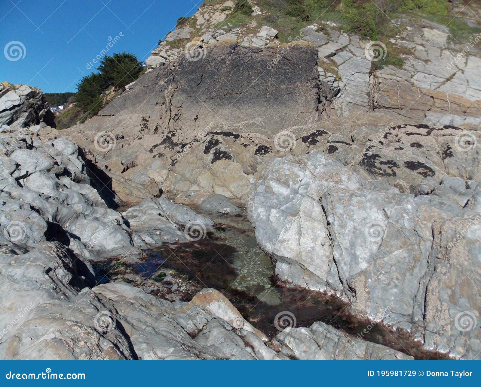 Beach Rocks and Geological Formations Stock Image - Image of rock ...