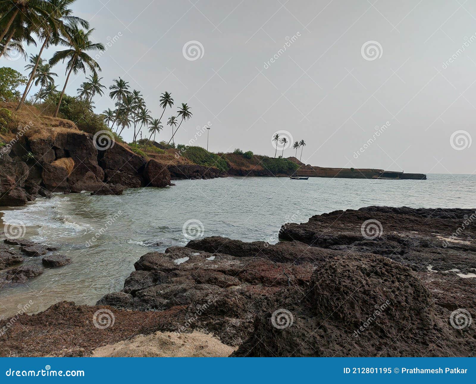 Beach and Rocks with Palm Trees Stock Image - Image of rock, coastal ...