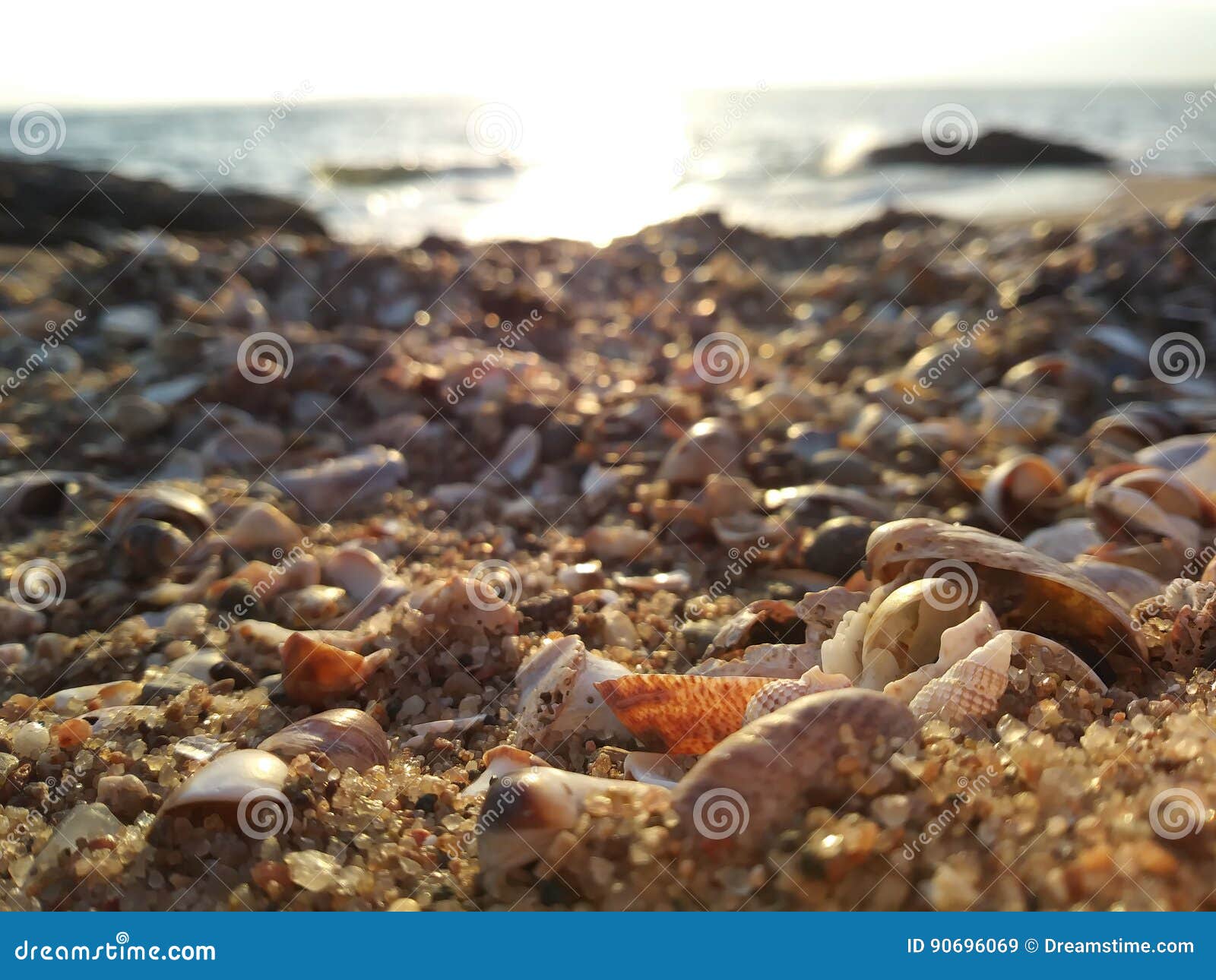 Beach stock image. Image of rocks, ocean, shells, beach - 90696069
