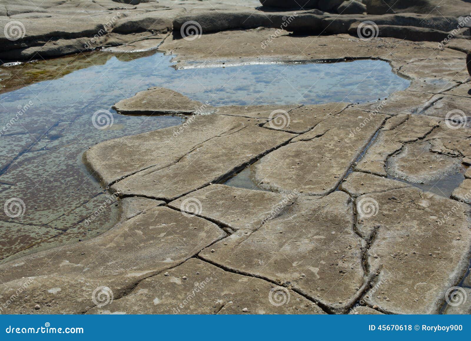 Beach Rocks stock photo. Image of beach, australia, angourie - 45670618