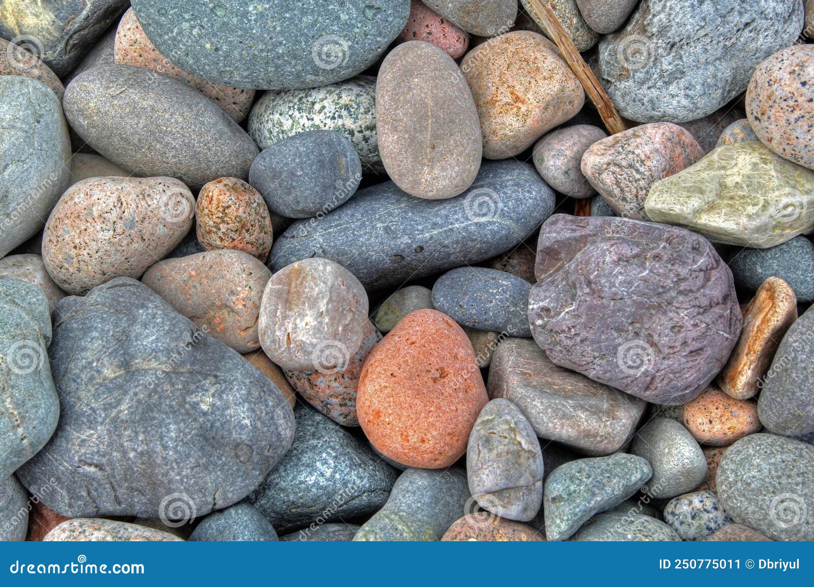 Beach Rounded Rocks in Various Colors from Ocean Stock Image - Image of ...