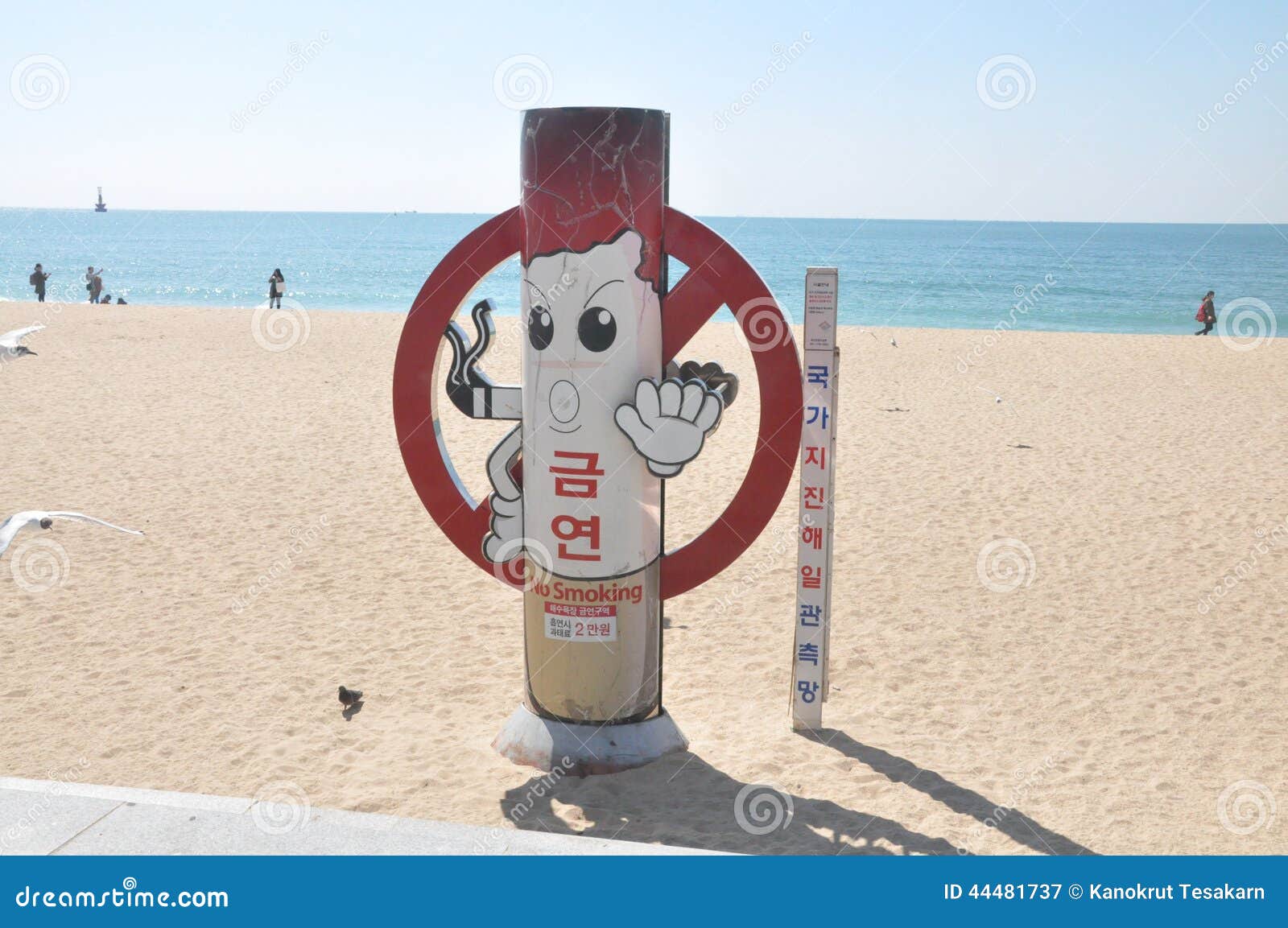 Beach Safety Warning Sign Informs Visitors About Dangerous Shorebreak ...