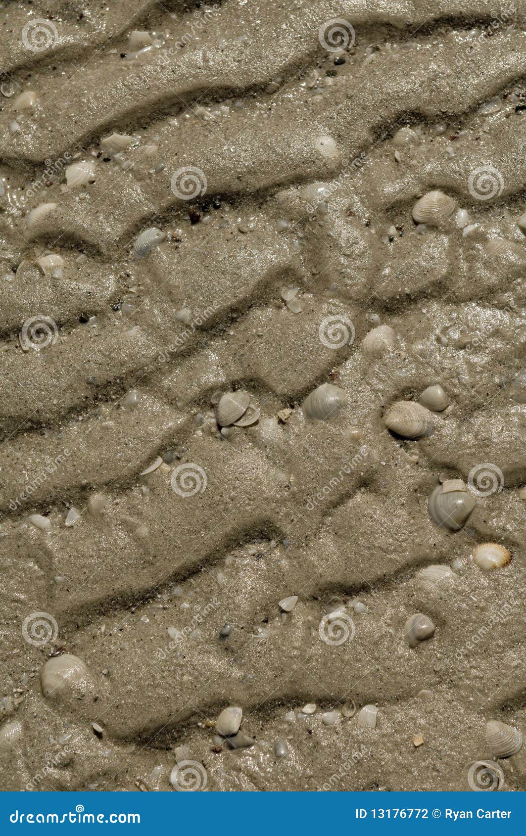 Beach Sand stock photo. Image of coast, abstract, macro - 13176772
