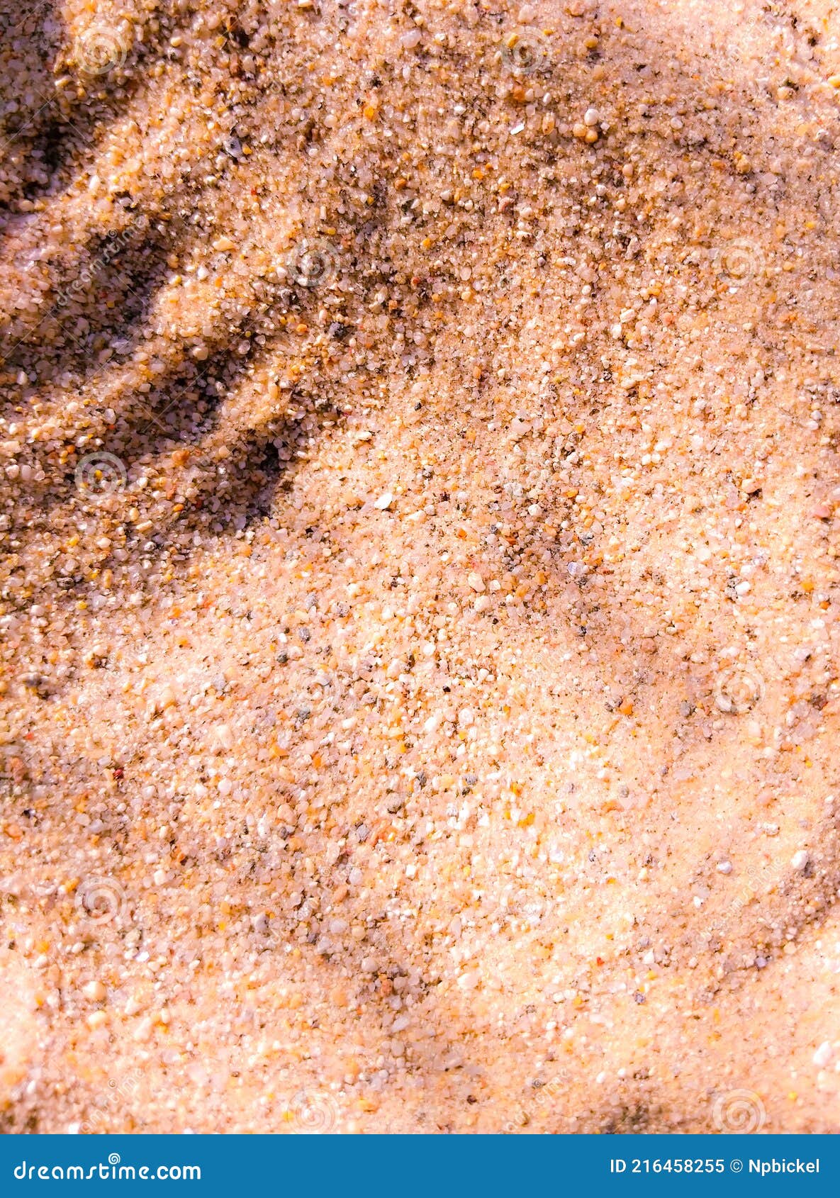 Beach Sand Background Showing Individual Grains Stock Image - Image of ...