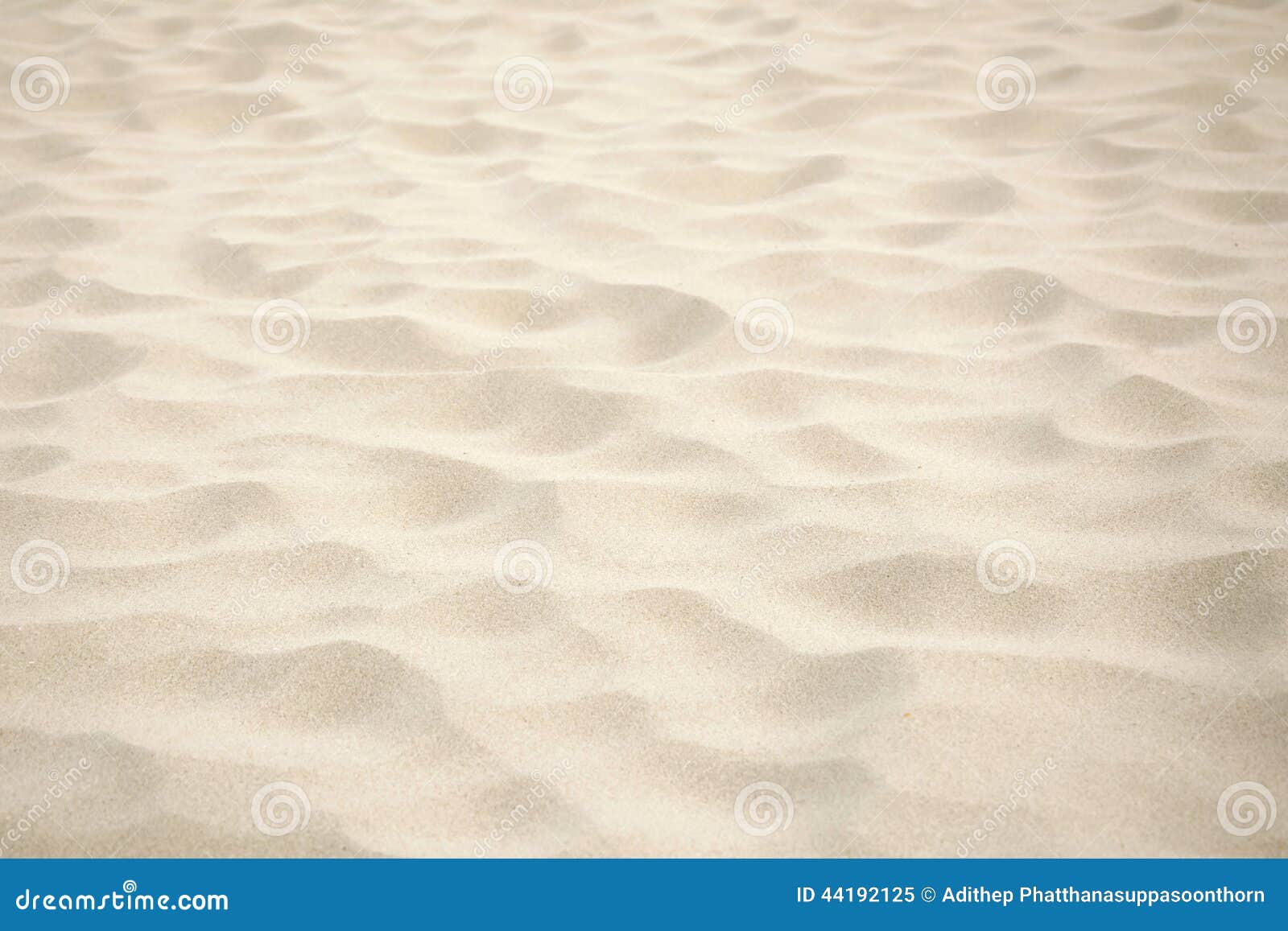 Sea Beach Sand Texture With Shells Royalty-Free Stock Photo ...