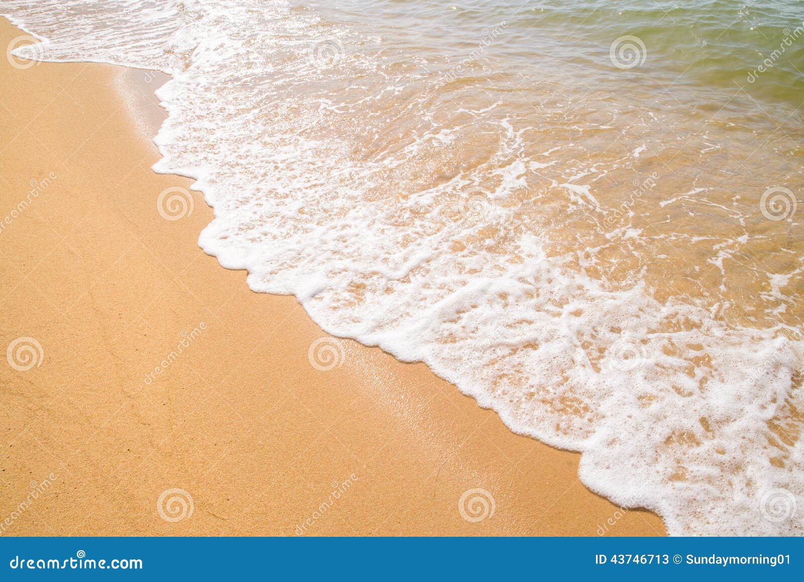 Beach Sand Border