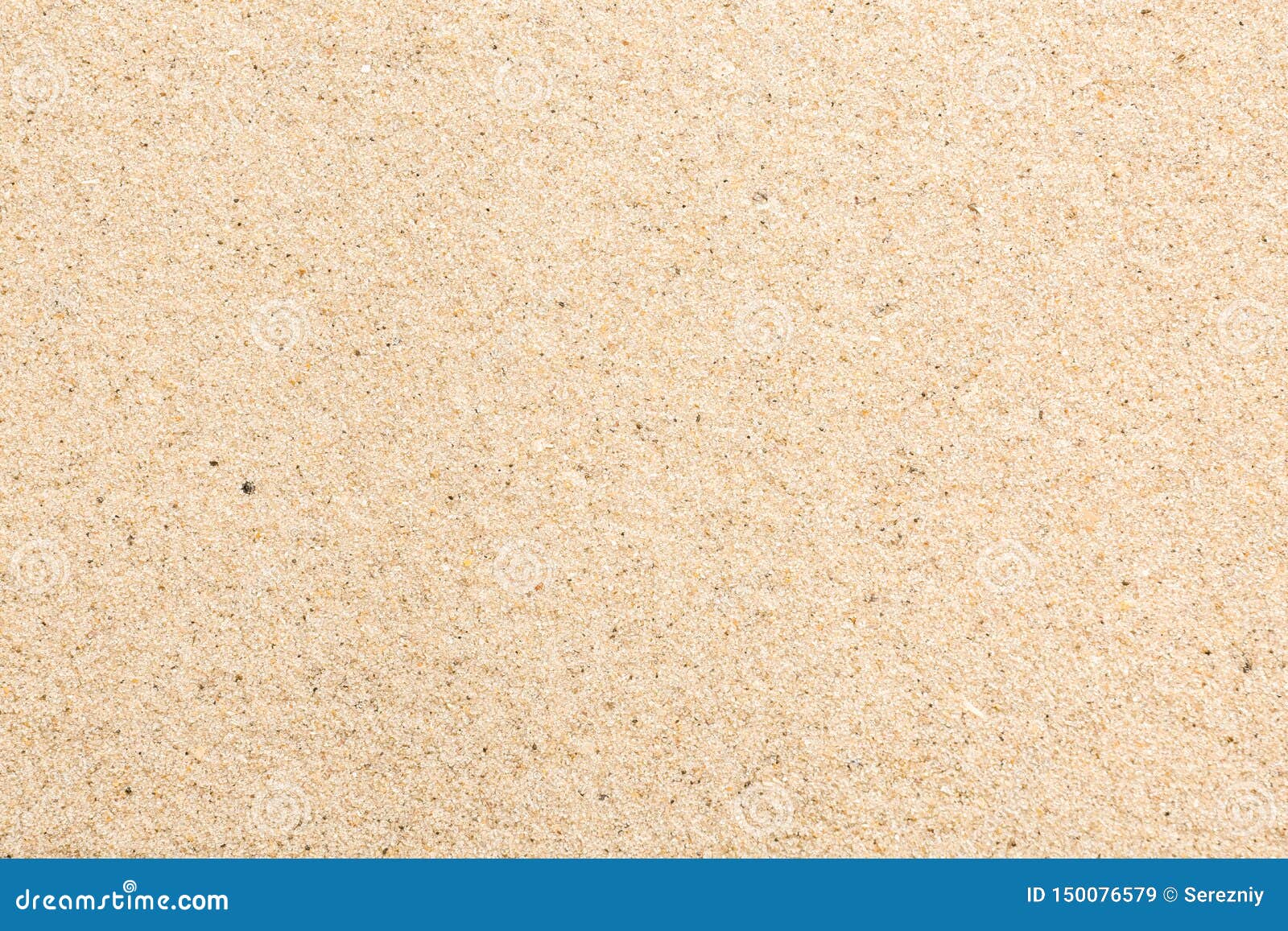 Beach sand, closeup stock image. Image of design, background - 150076579