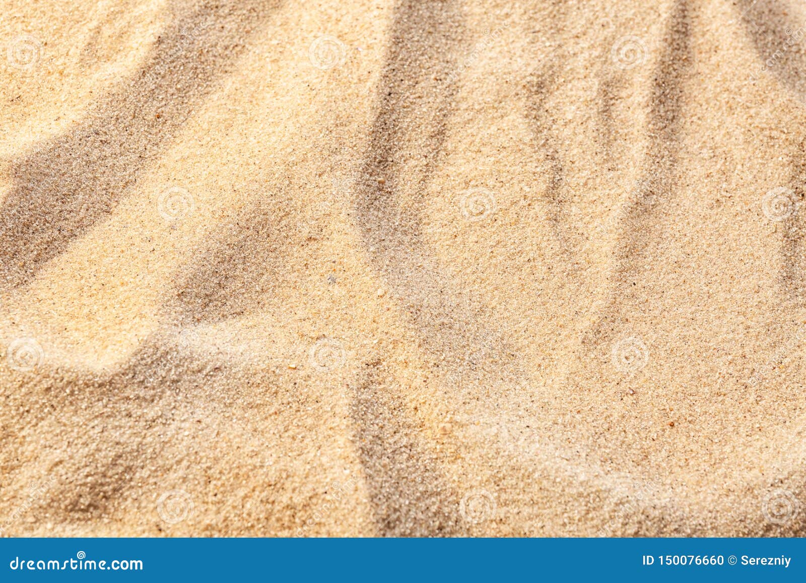 Beach sand, closeup stock photo. Image of closeup, nature - 150076660