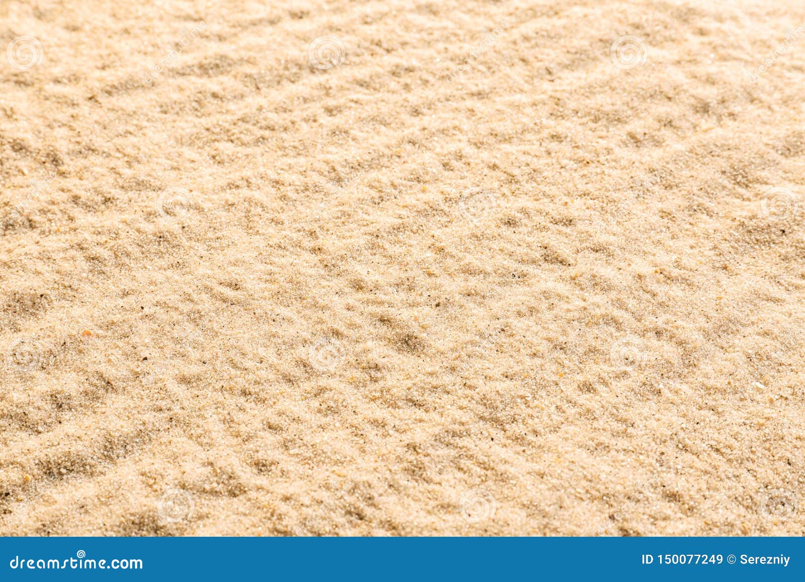 Beach sand, closeup stock image. Image of decor, background - 150077249