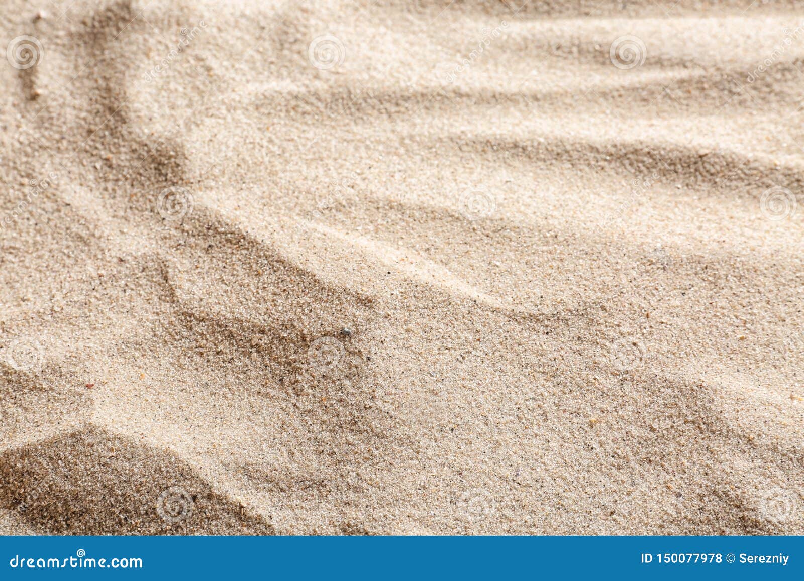 Beach sand, closeup stock photo. Image of sandy, grit - 150077978
