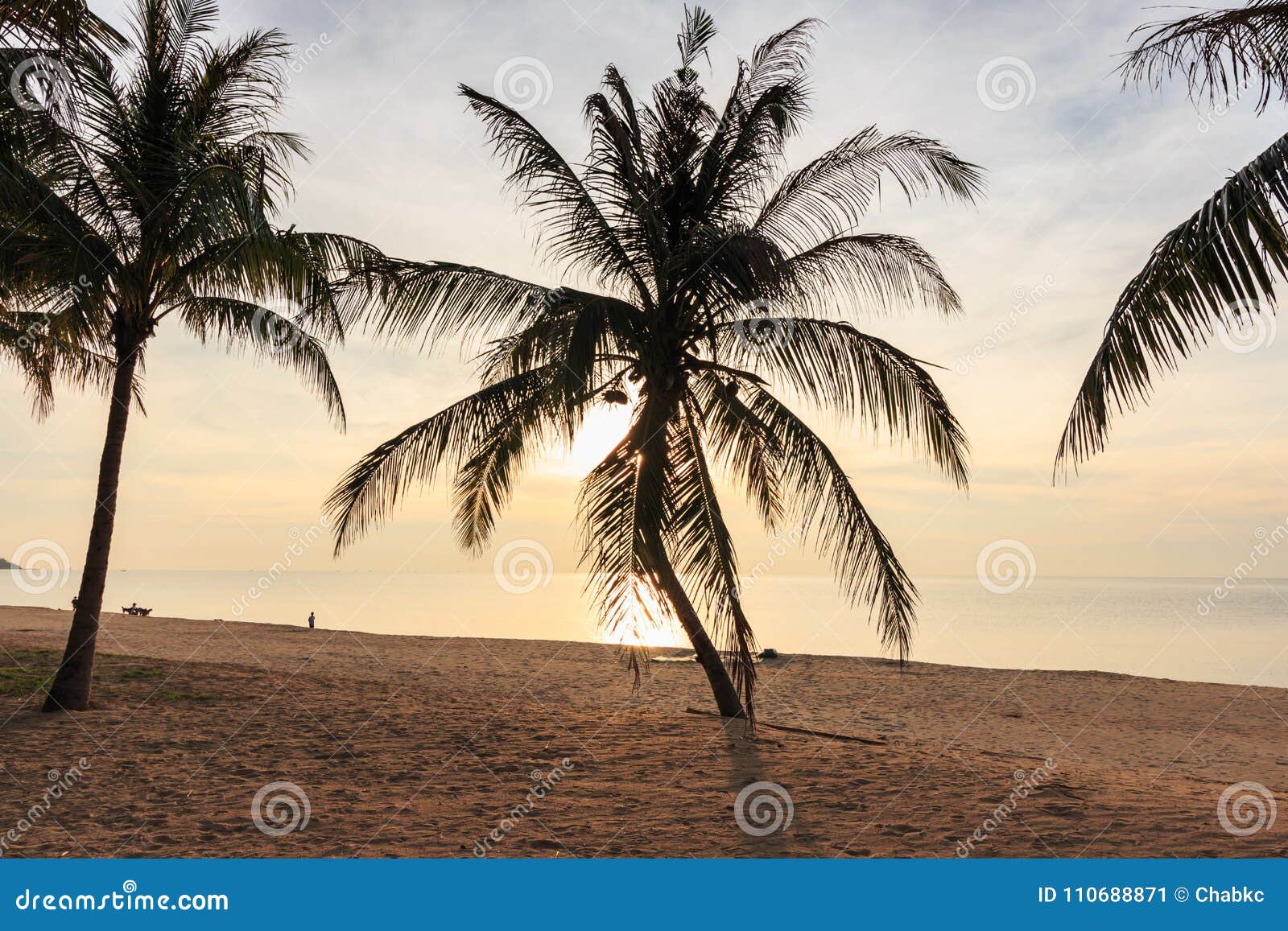 Beach Sand and Coconut Tree with Sunrise in Morning Stock Image - Image ...