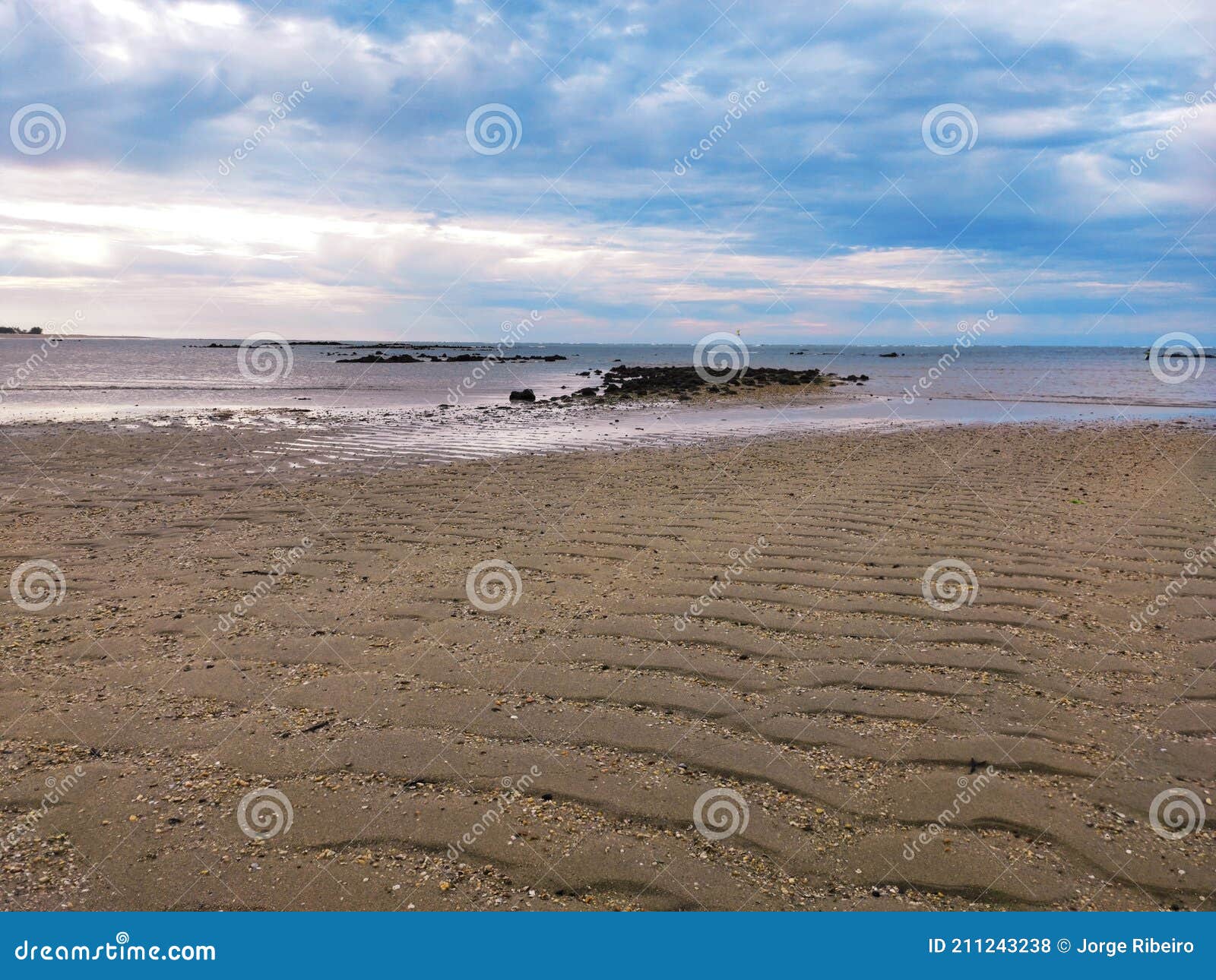 Shells by the Sea at Low Tide Stock Photo - Image of sand, background ...