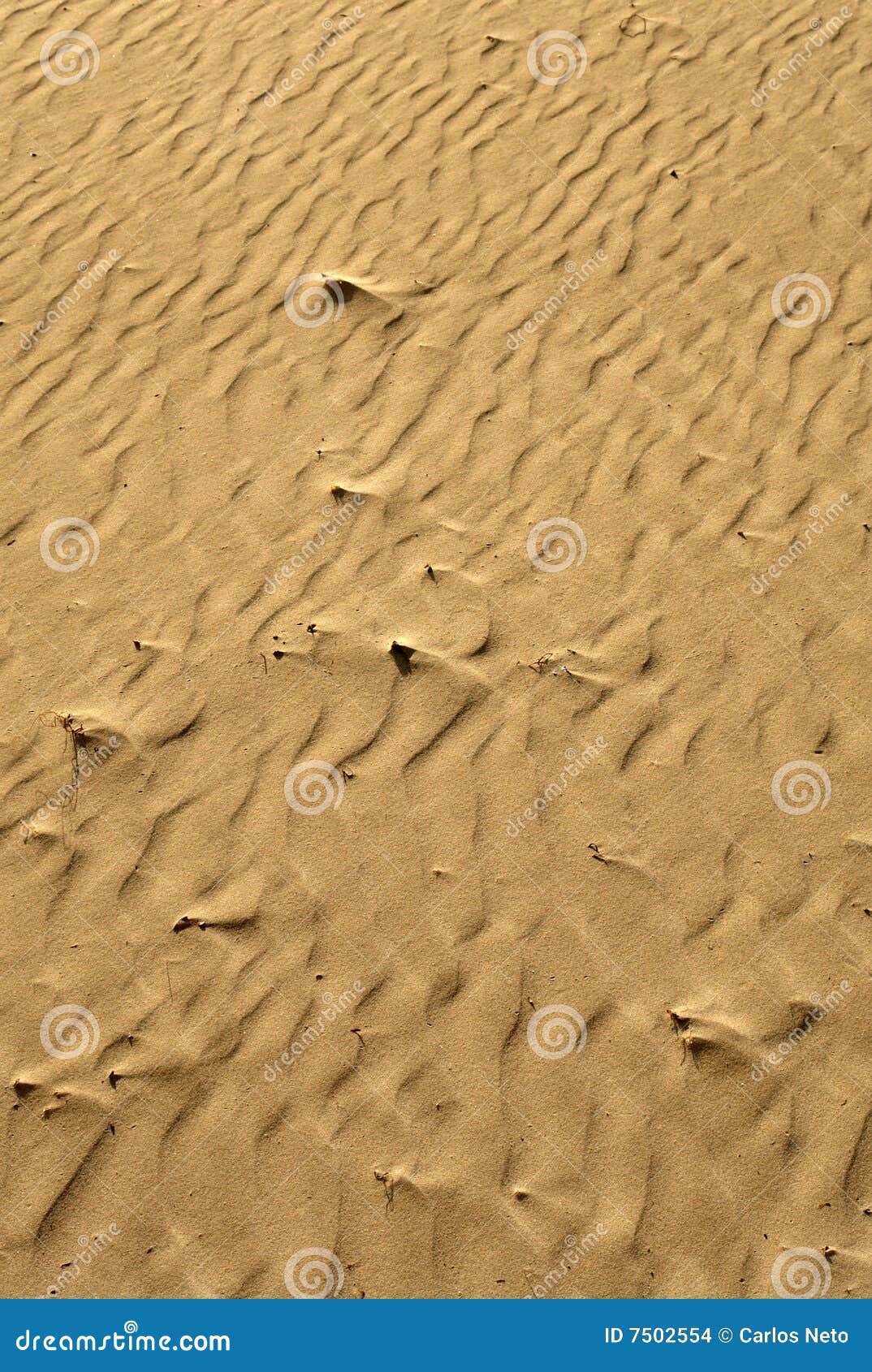 Beach sand detail stock photo. Image of brown, minerals - 7502554