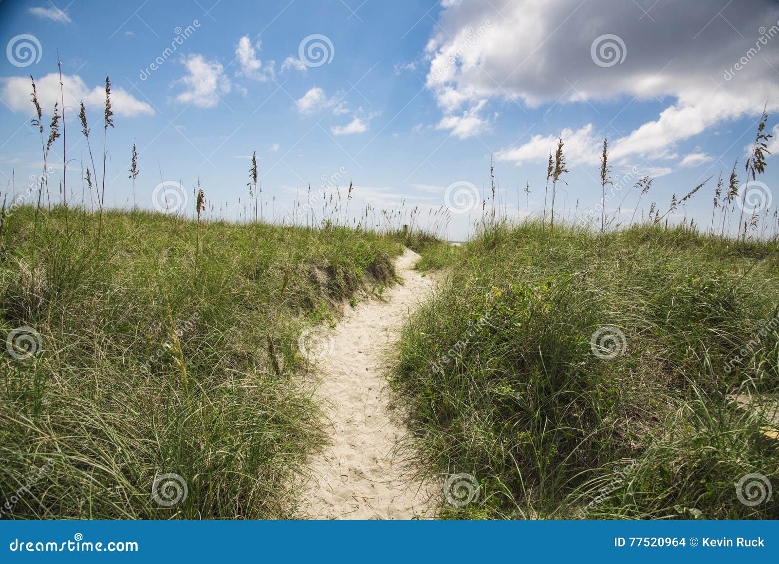 Beach Sand Dune Walkway stock photo. Image of rise, outer - 77520964