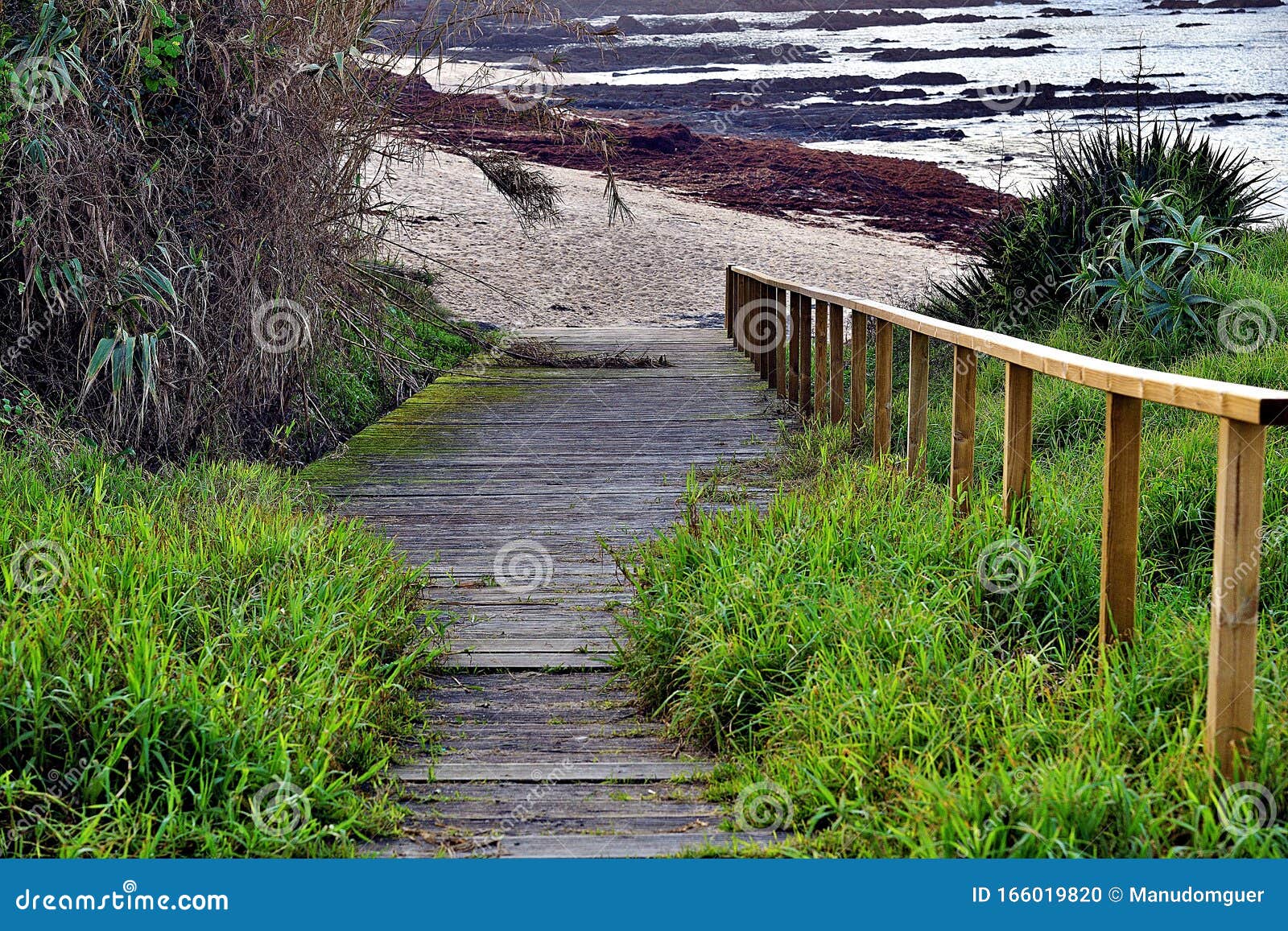 Beach Sand Dunes Access Path. Stock Photo - Image of beaches, entry ...