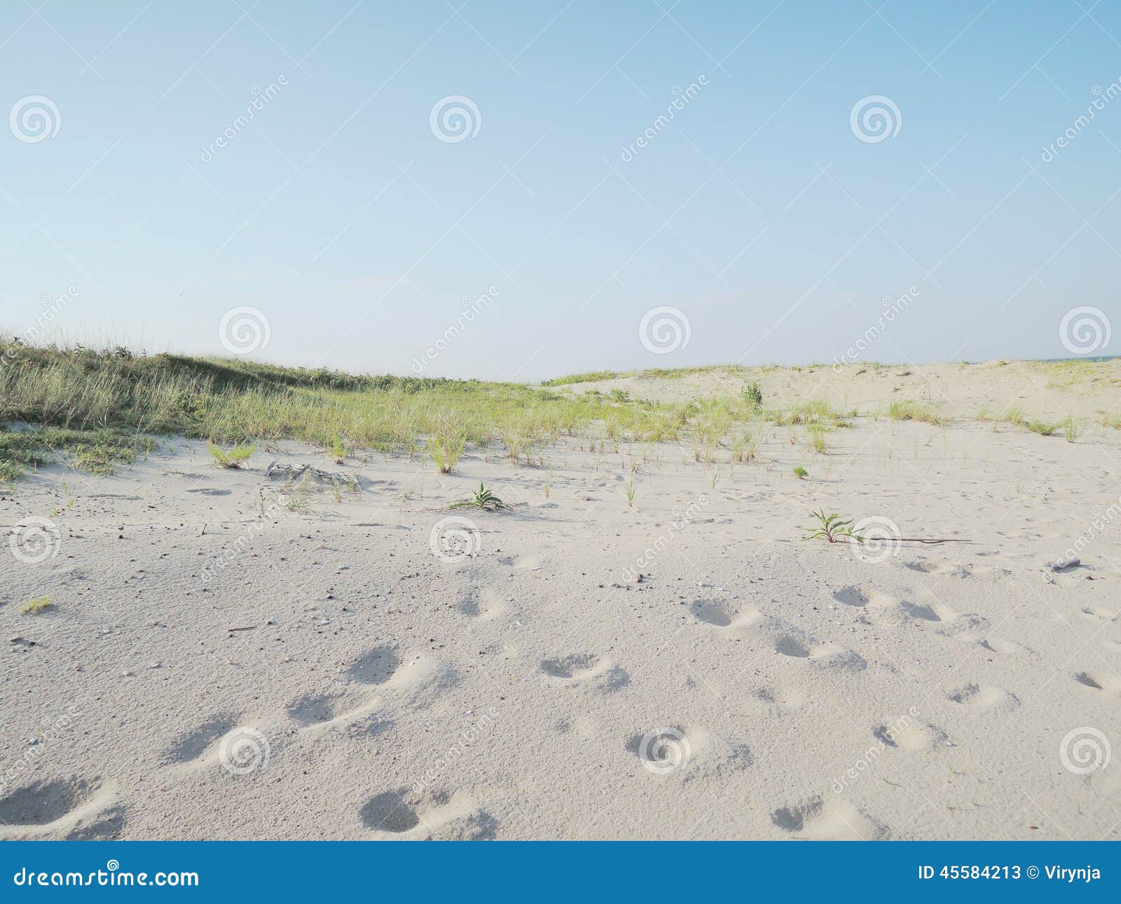Beach stock image. Image of green, beautiful, park, outdoor - 45584213
