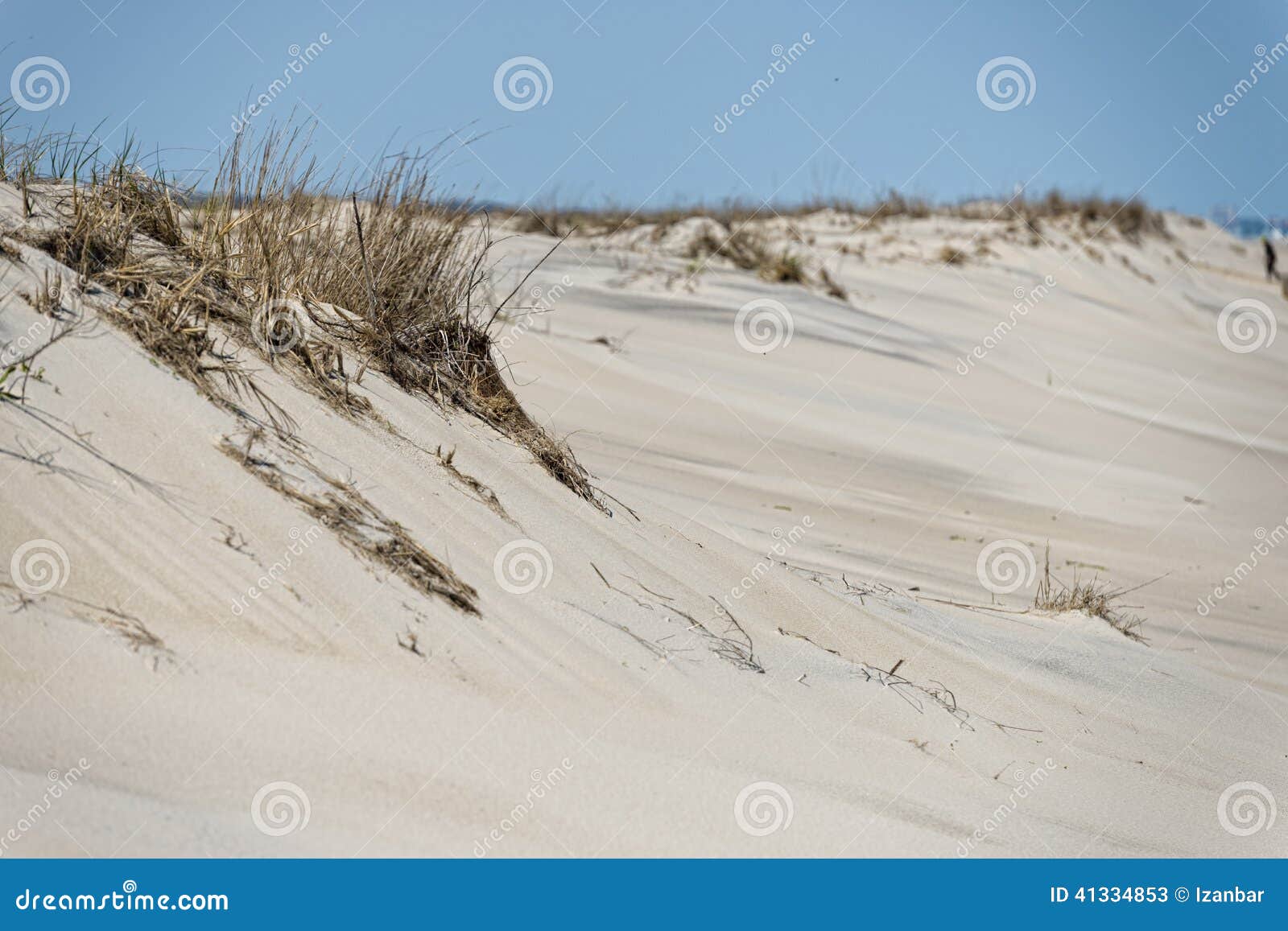 Beach sand dunes stock image. Image of holiday, dunes - 41334853