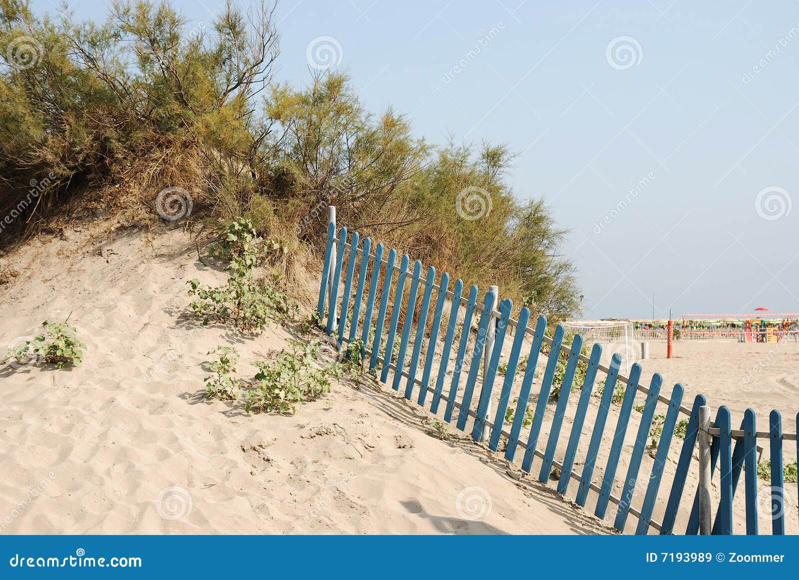 Beach Sand Hill with Bushes Stock Image - Image of blue, plant: 7193989