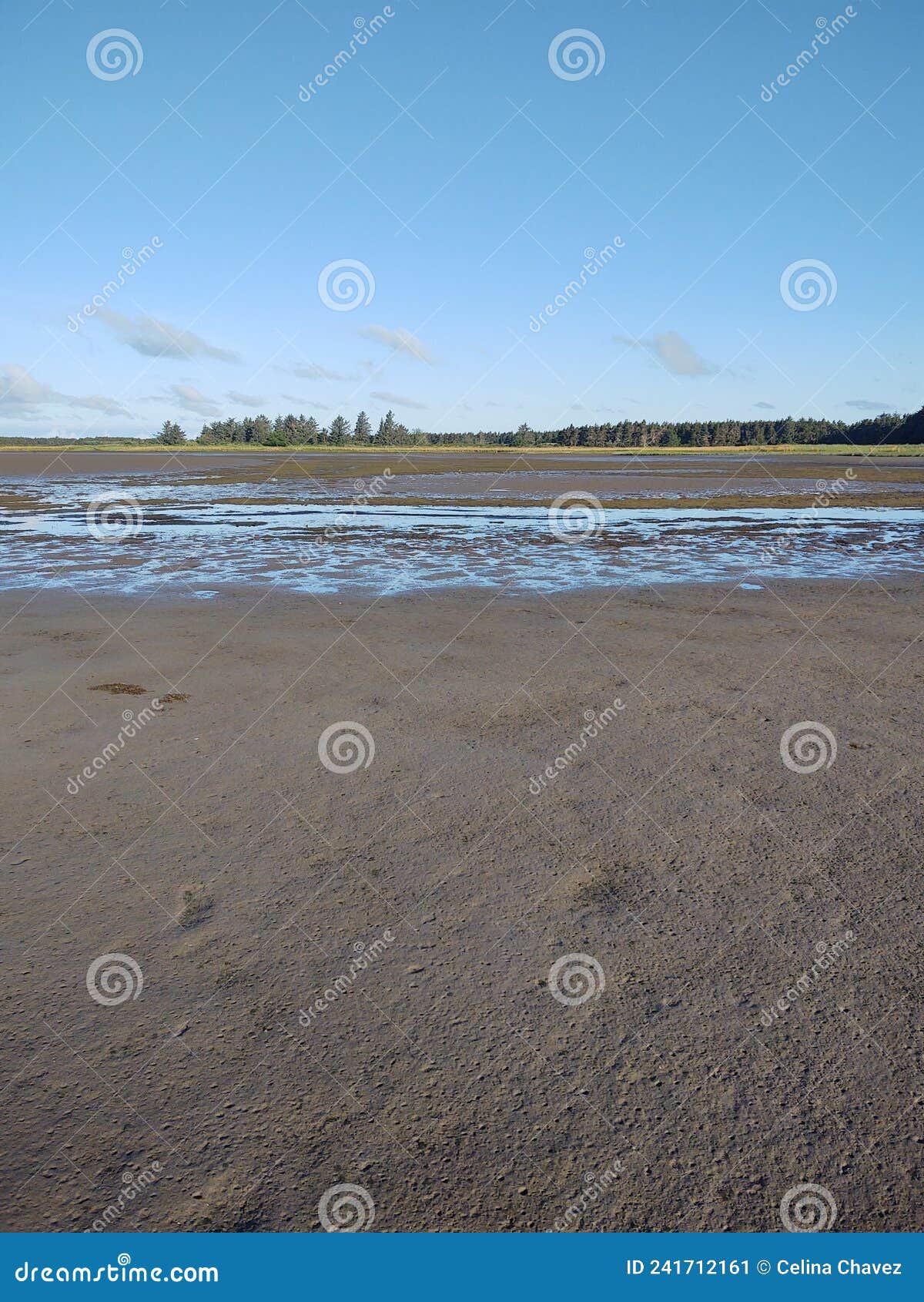 Beach, sand, low tide stock image. Image of sand, wood - 241712161