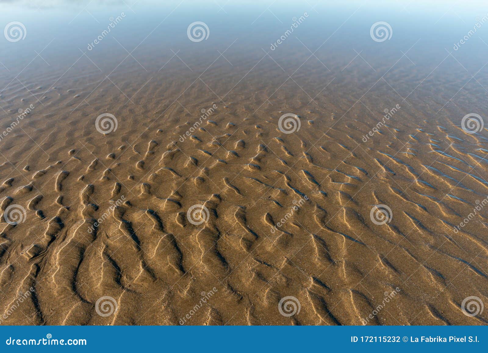 Beach sand at low tide stock photo. Image of surface - 172115232