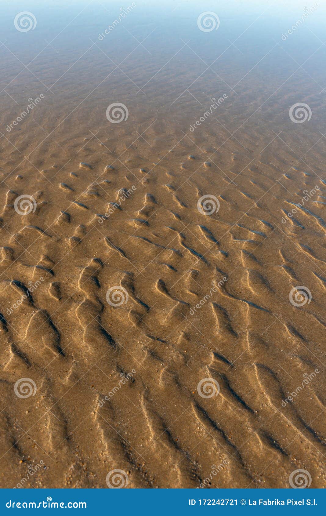 Beach sand at low tide stock image. Image of closeup - 172242721
