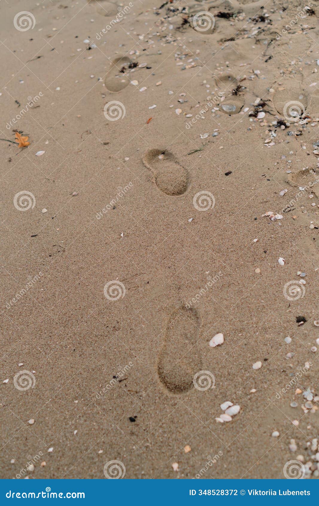 Beach Sand, Ocean Waves, Sea, Steps on the Beach Stock Photo - Image of ...