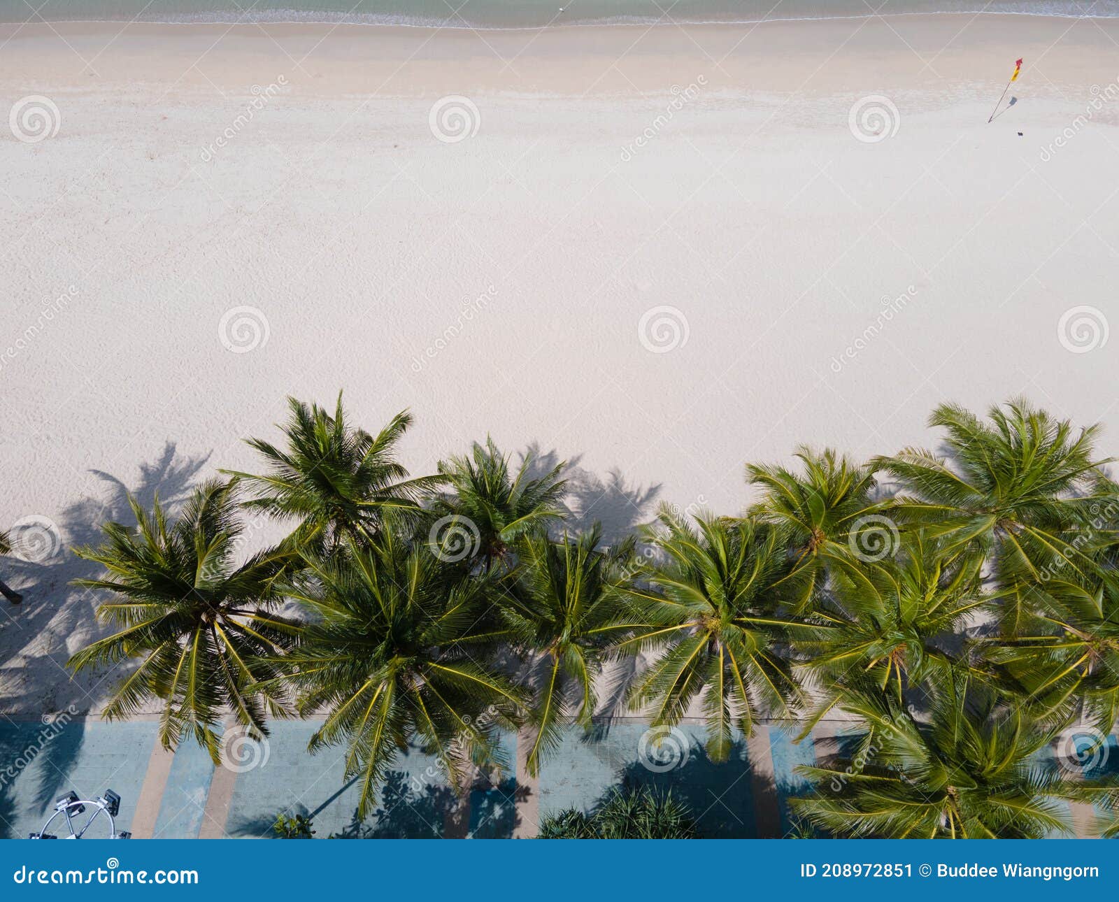 Beach Sand and Palm. Palm Tree on Beach Sand at Sea Stock Image - Image ...