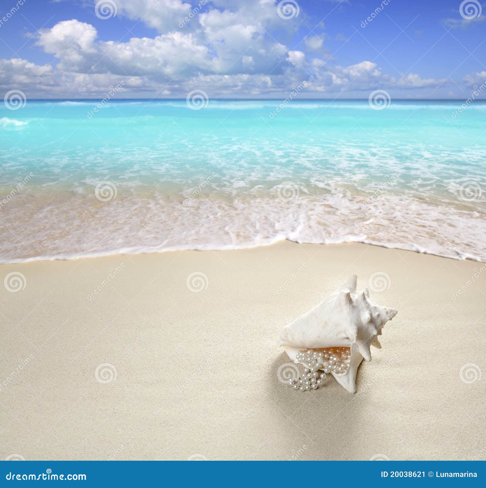 Beach Sand Pearl Necklace Shell Summer Vacation Stock Image - Image of ...