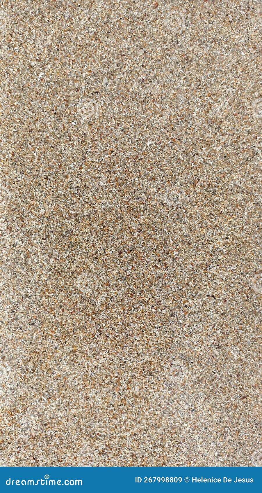 Beach sand without rake. stock image. Image of sand - 267998809