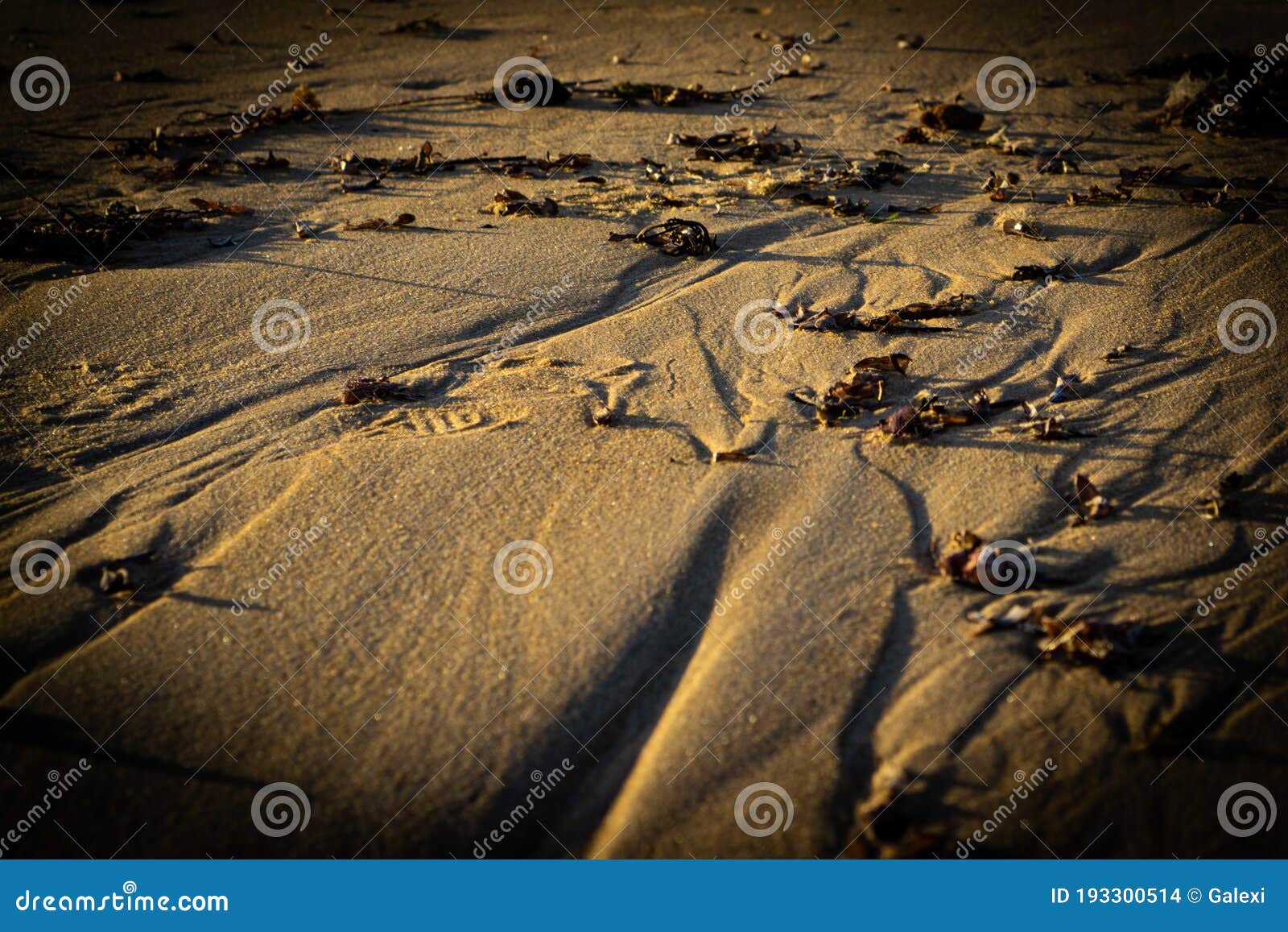 Beach Sand with Random Texture Stock Photo - Image of colorful, beauty ...