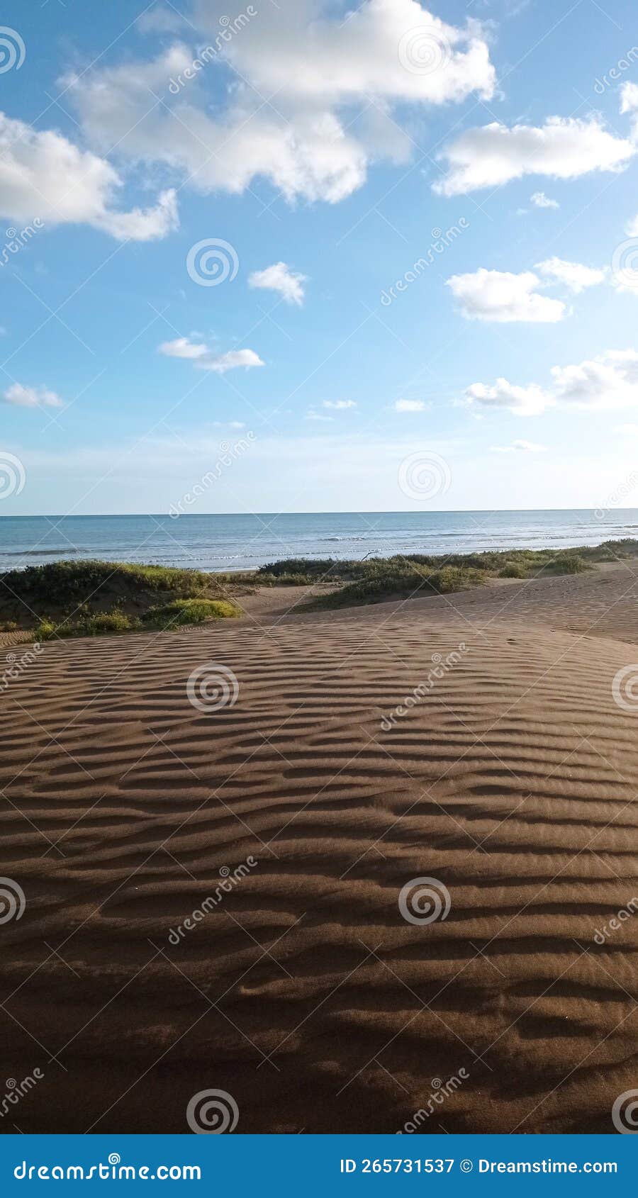 Beach Sand Sea Terrain Walkway Stock Image - Image of wave, beach ...