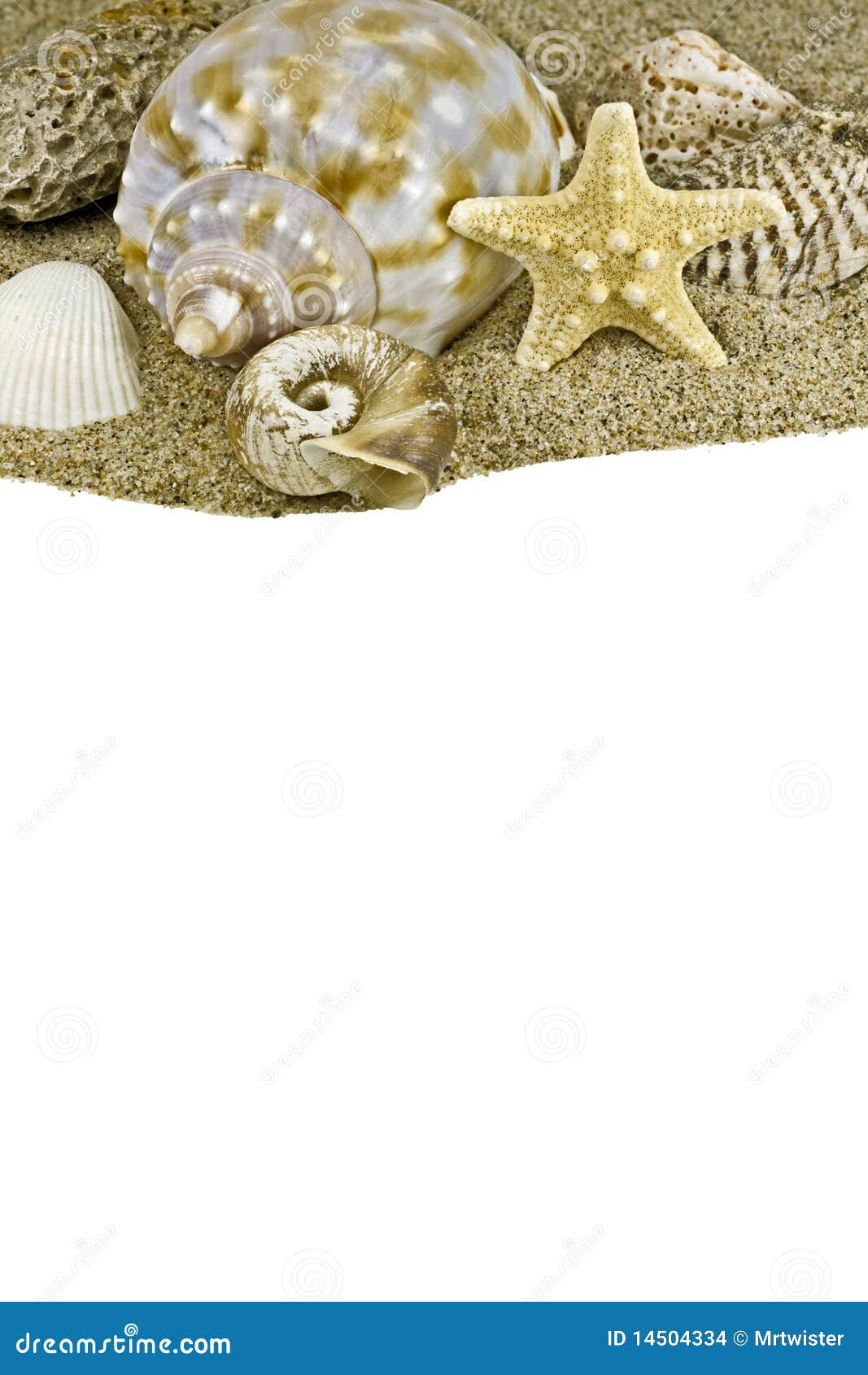 Beach sand and seashell stock photo. Image of idyllic - 14504334