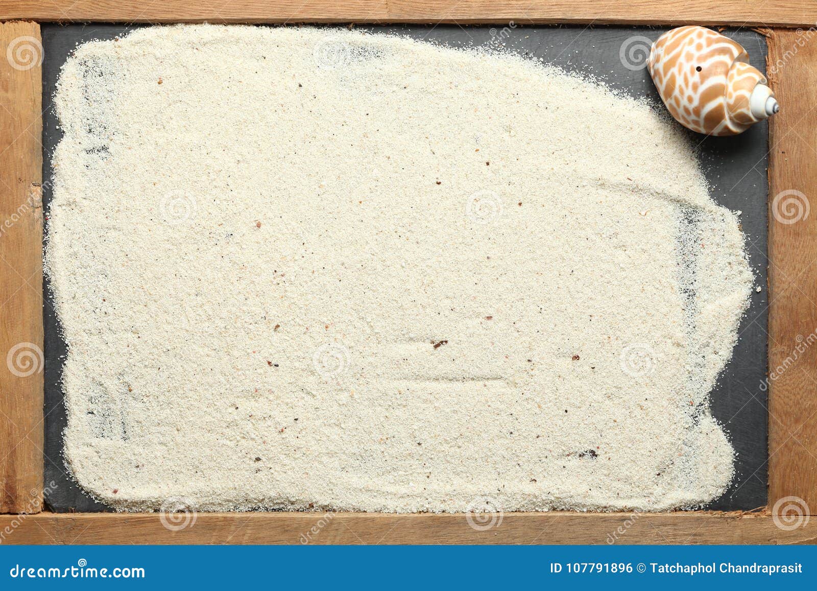 Sea shell scene. stock photo. Image of represent, scene - 107791896