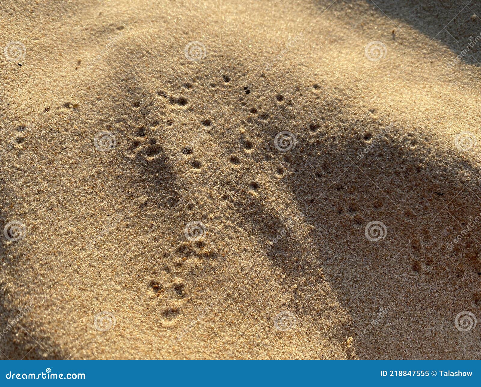 Beach sand on a summer day stock image. Image of beach - 218847555