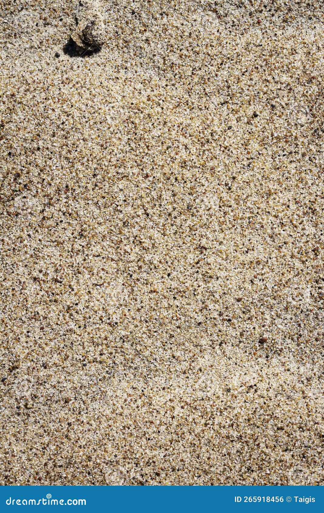 Beach sand texture stock photo. Image of color, dune - 265918456