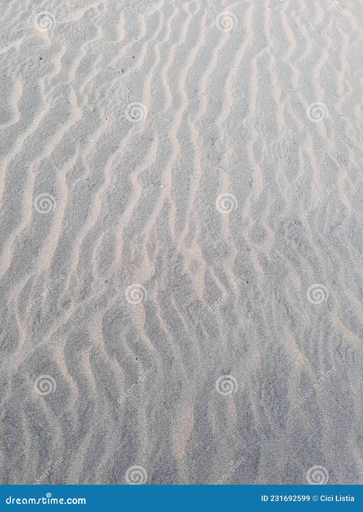 Beach Sand Texture with Grayish White Color in Warm Summer Stock Image ...