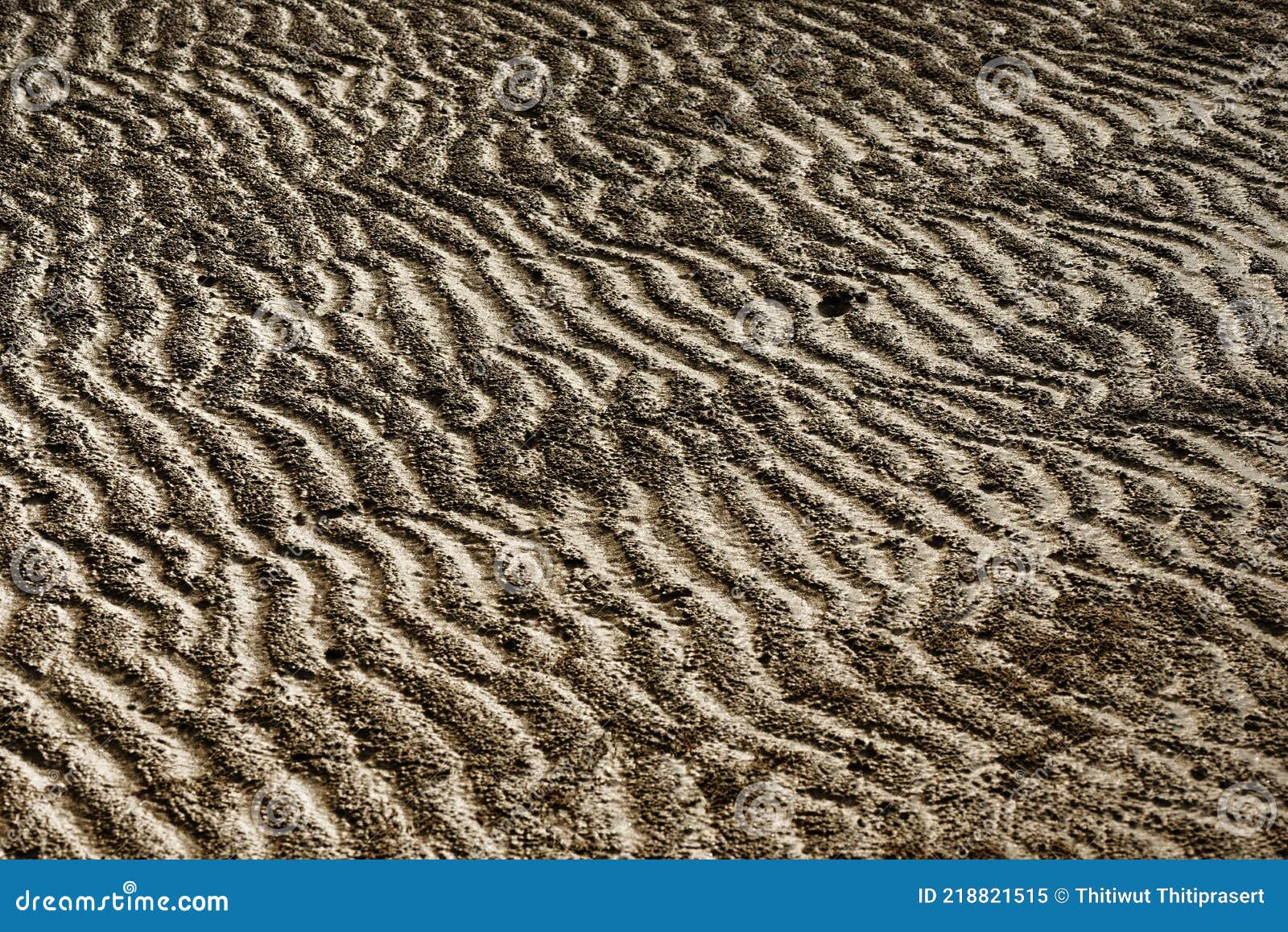 Beach Sand Texture in Hard Light Generated from Wave Tidal Stock Image ...