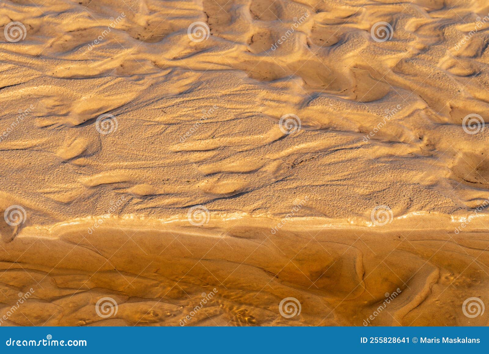 Beach Sand Texture. a Pattern Created by the Wind in Yellow Sand. Stock ...