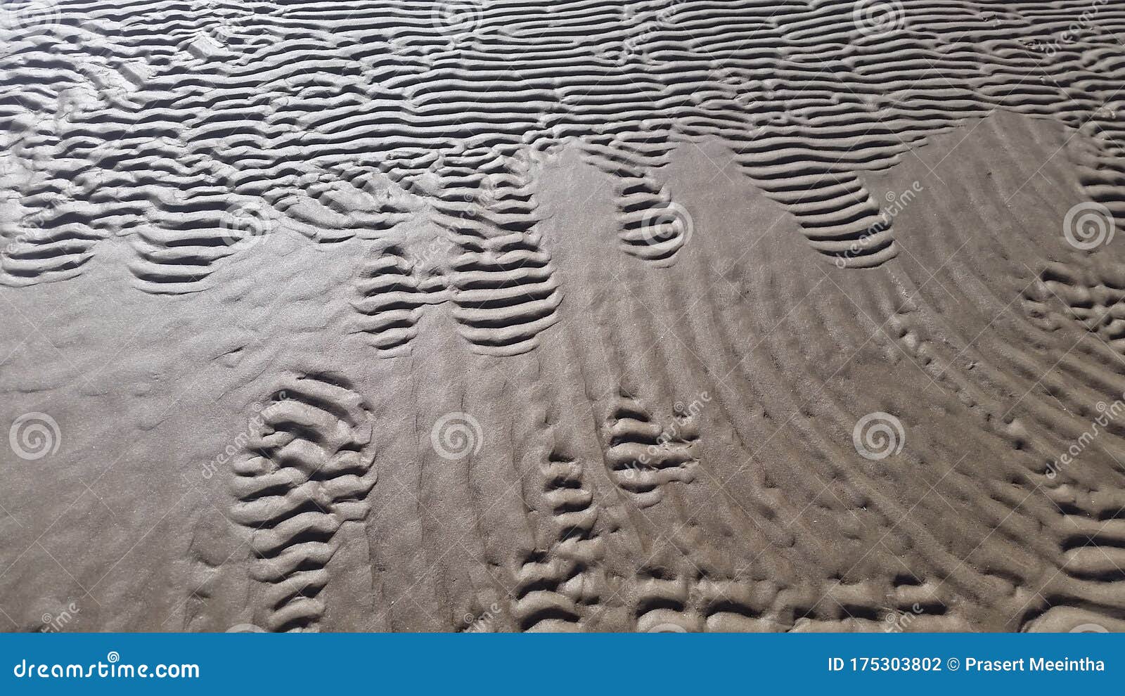Beach and Sand Trace stock photo. Image of beach, geology - 175303802